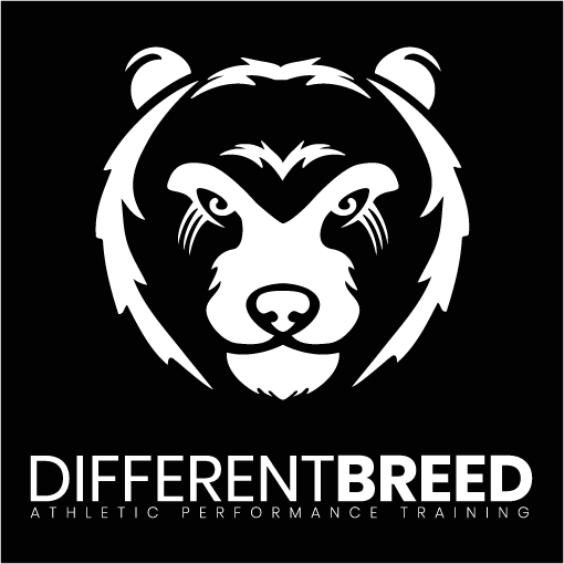 Endurance Performance Coaching: Boost Athletic Ability - DifferentBreed ...